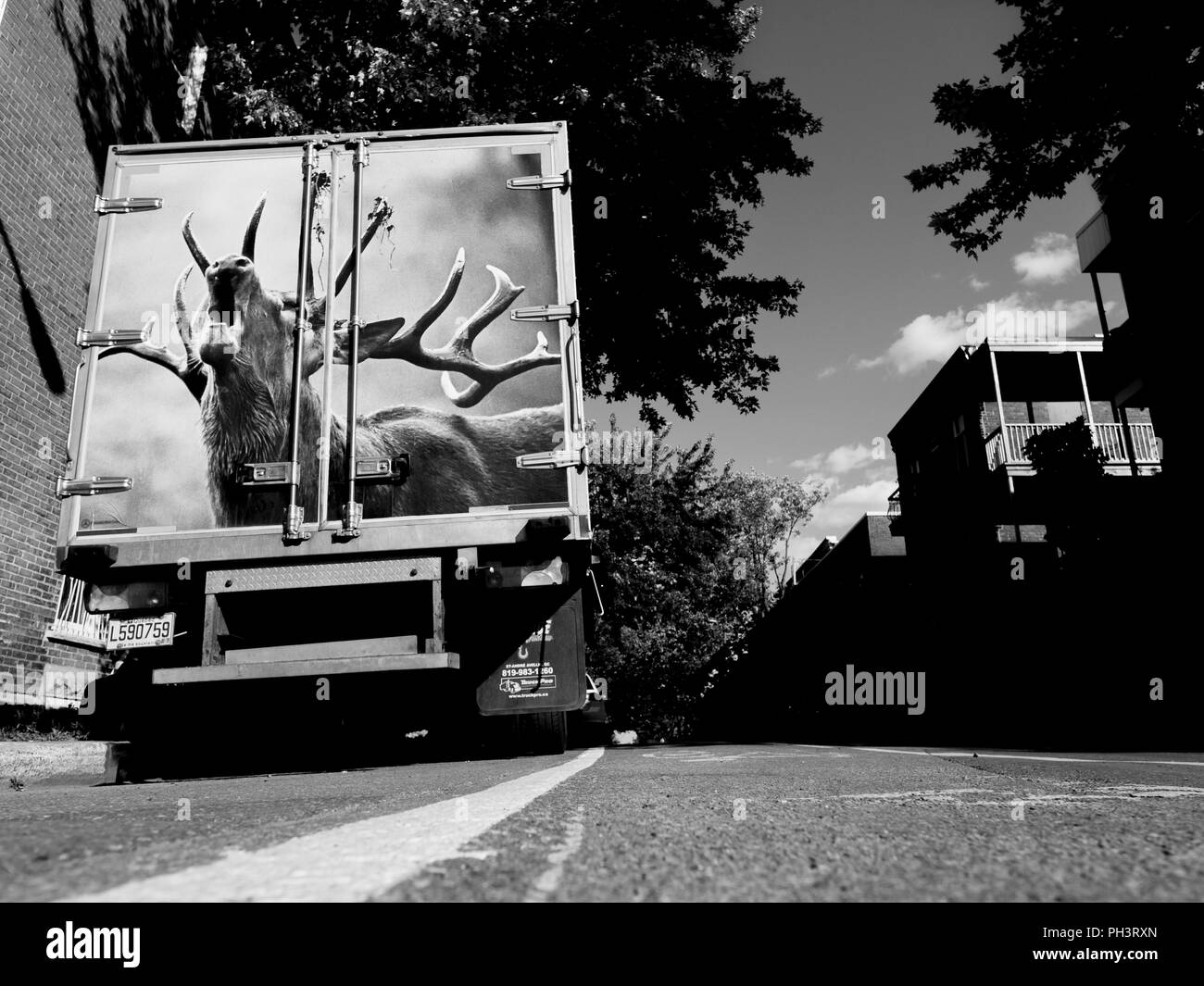 City behind trees Black and White Stock Photos & Images - Alamy