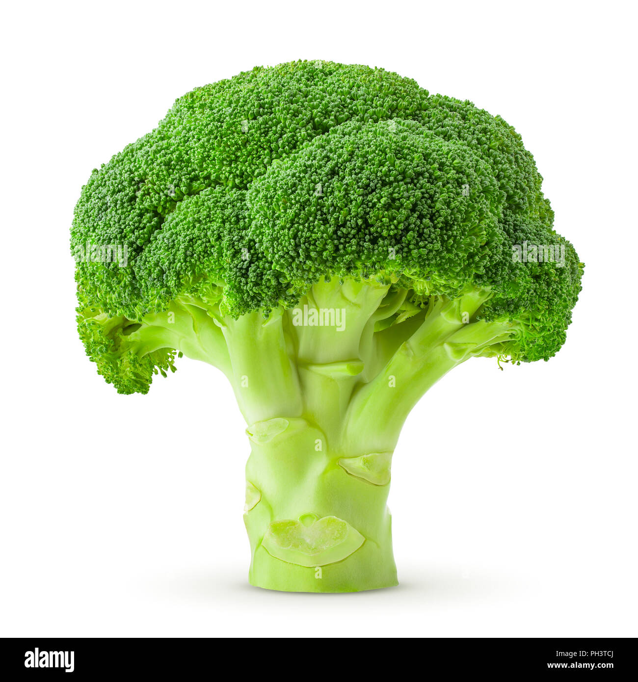 broccoli, isolated on white background, clipping path, full depth of ...