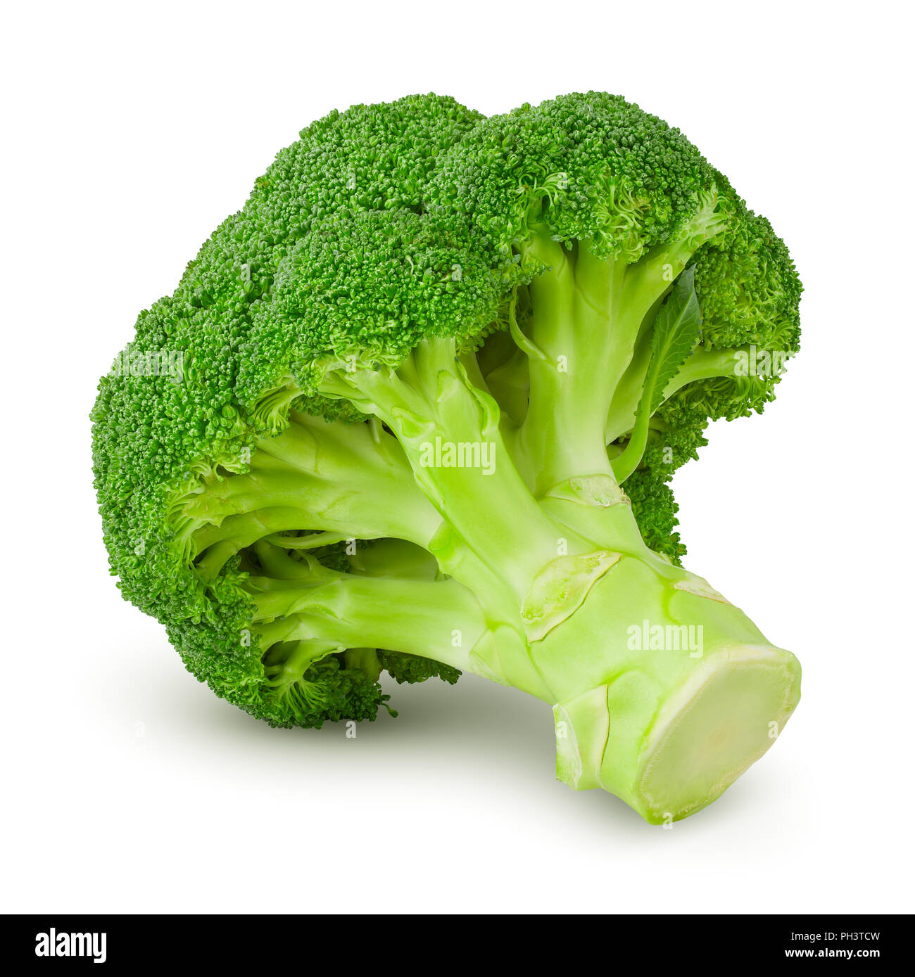 broccoli, isolated on white background, clipping path, full depth of ...