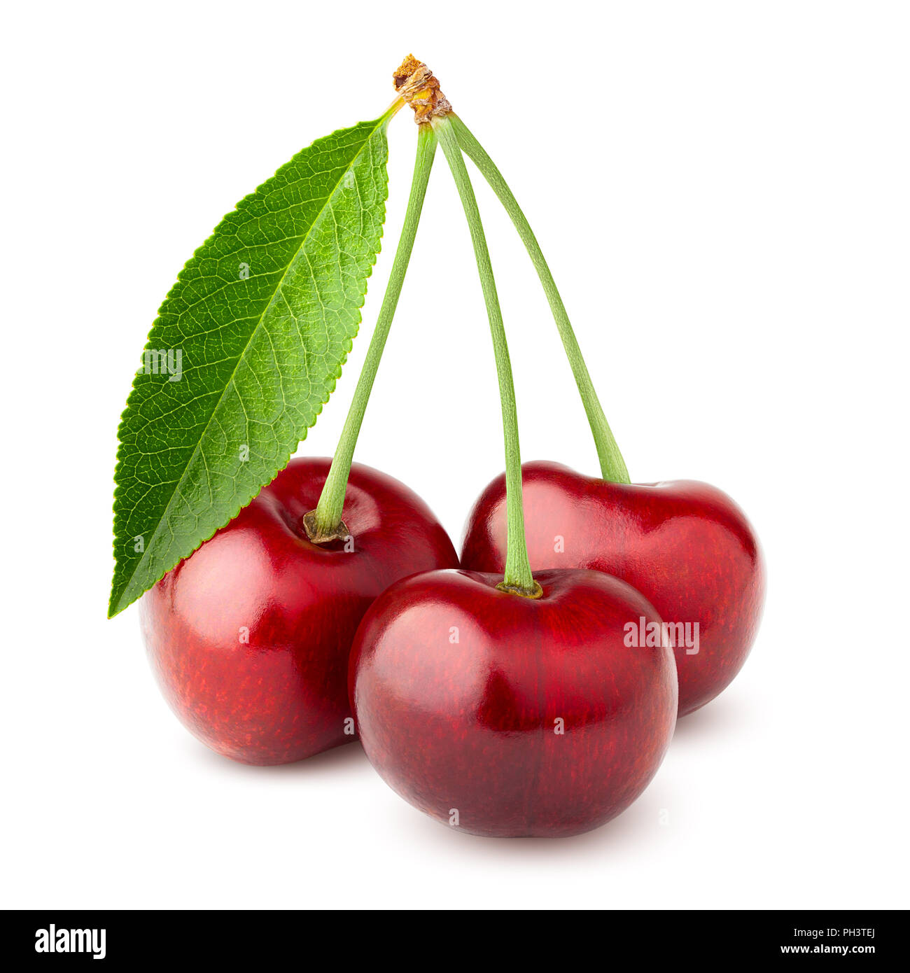 cherry, clipping path, isolated on white background, full depth of ...