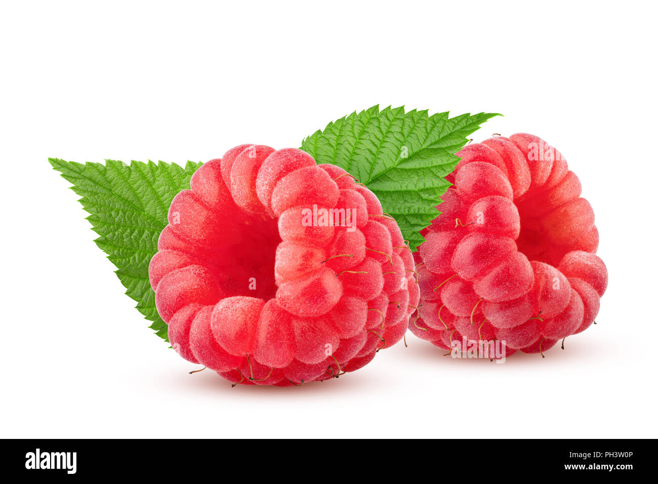 Raspberry isolated on white background, clipping path, full depth of ...
