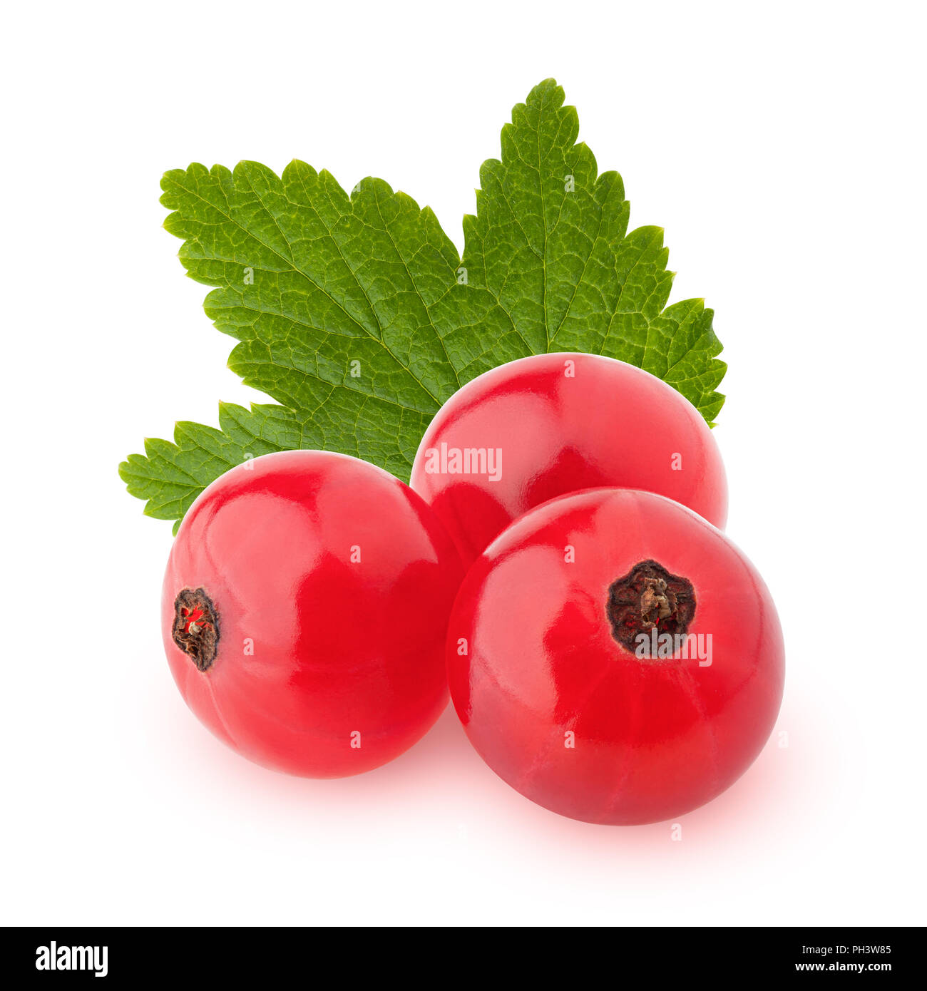 Red currant isolated on white background, clipping path, full depth of ...