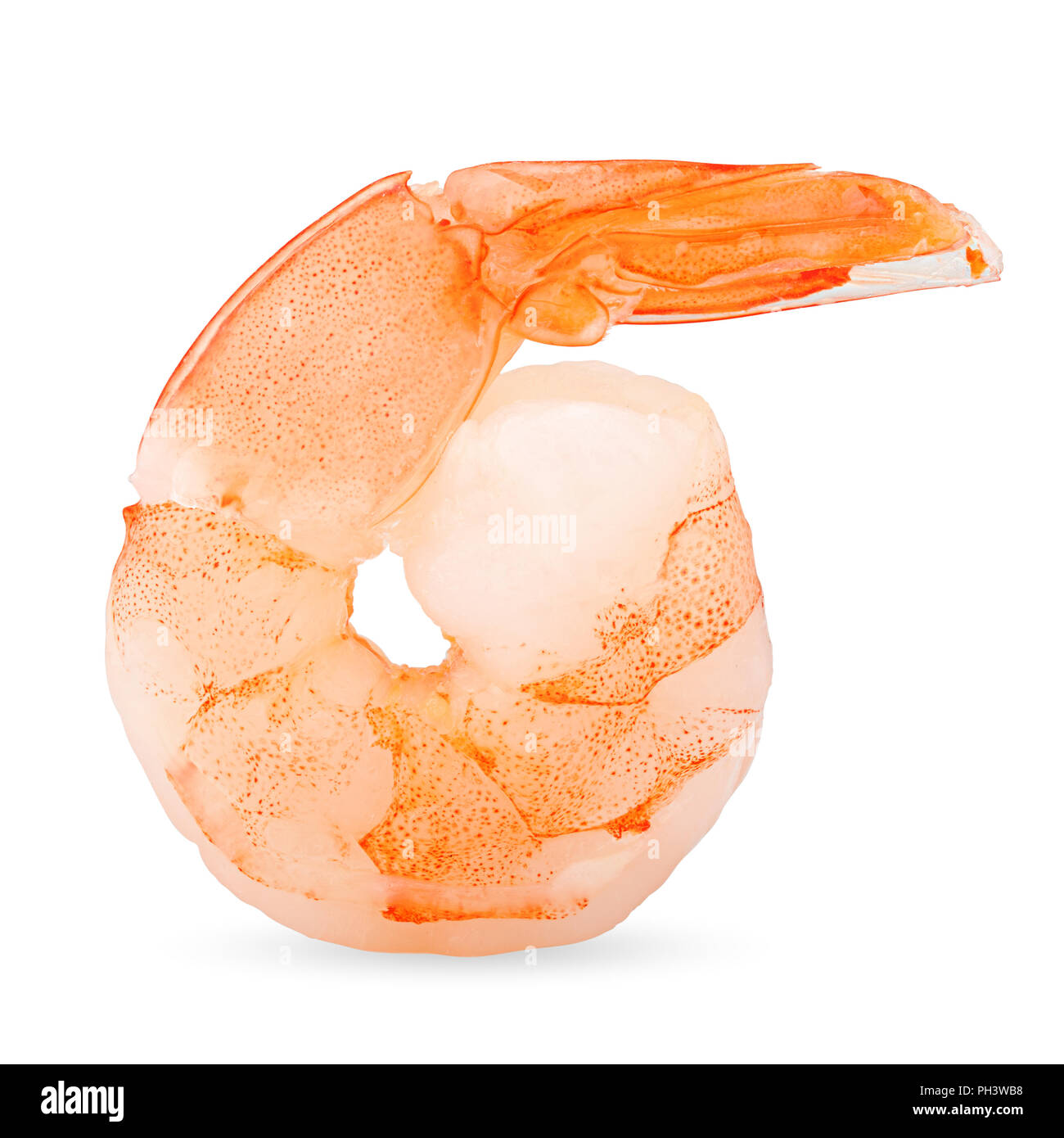 shrimp isolated on white background, clipping path Stock Photo - Alamy