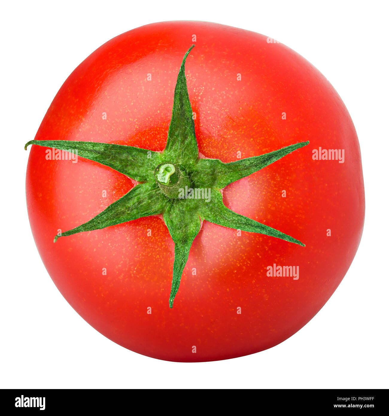 tomato isolated on white background, clipping path, full depth of field ...