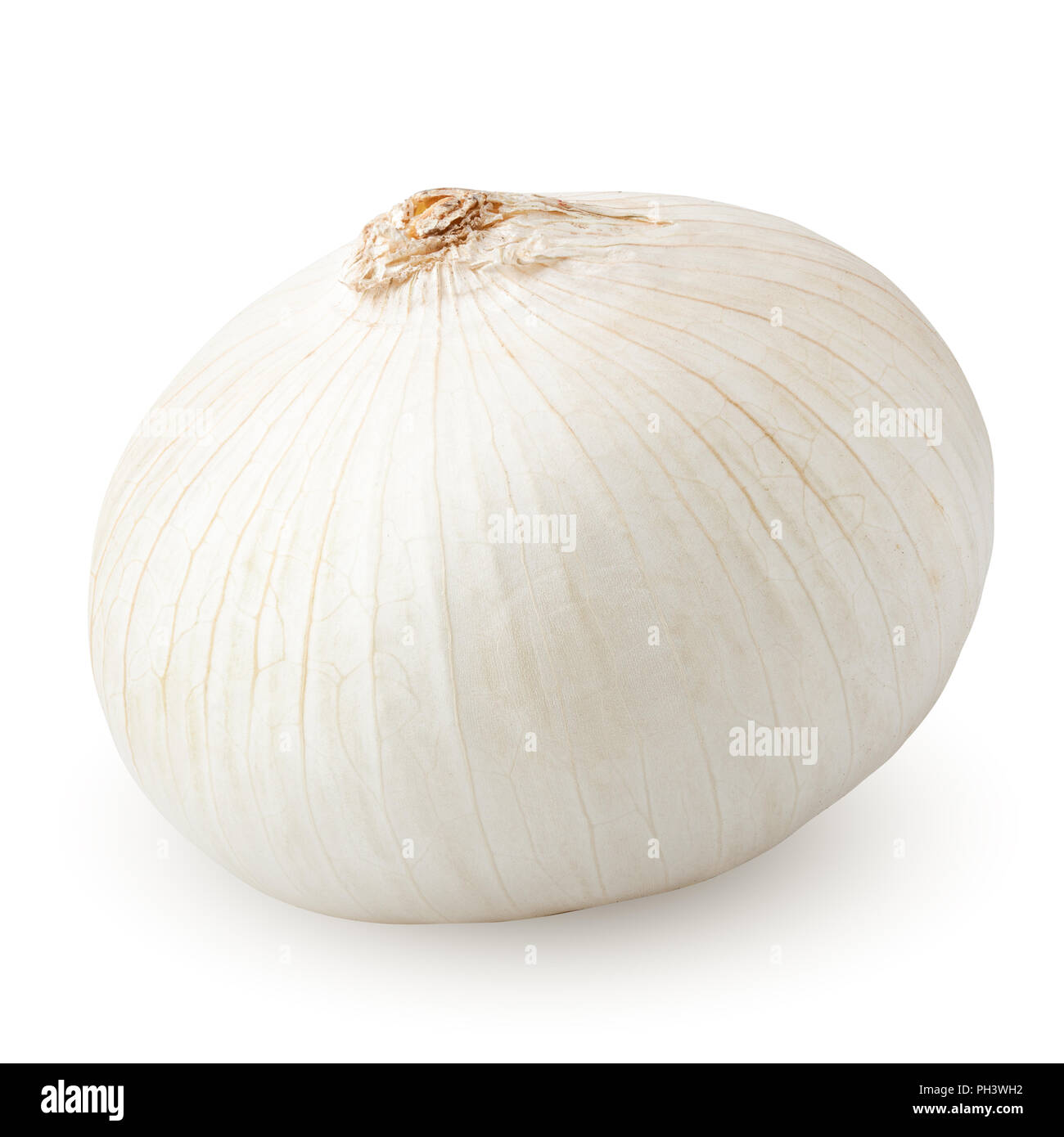 onion, isolated on white background, clipping path, full depth of field ...