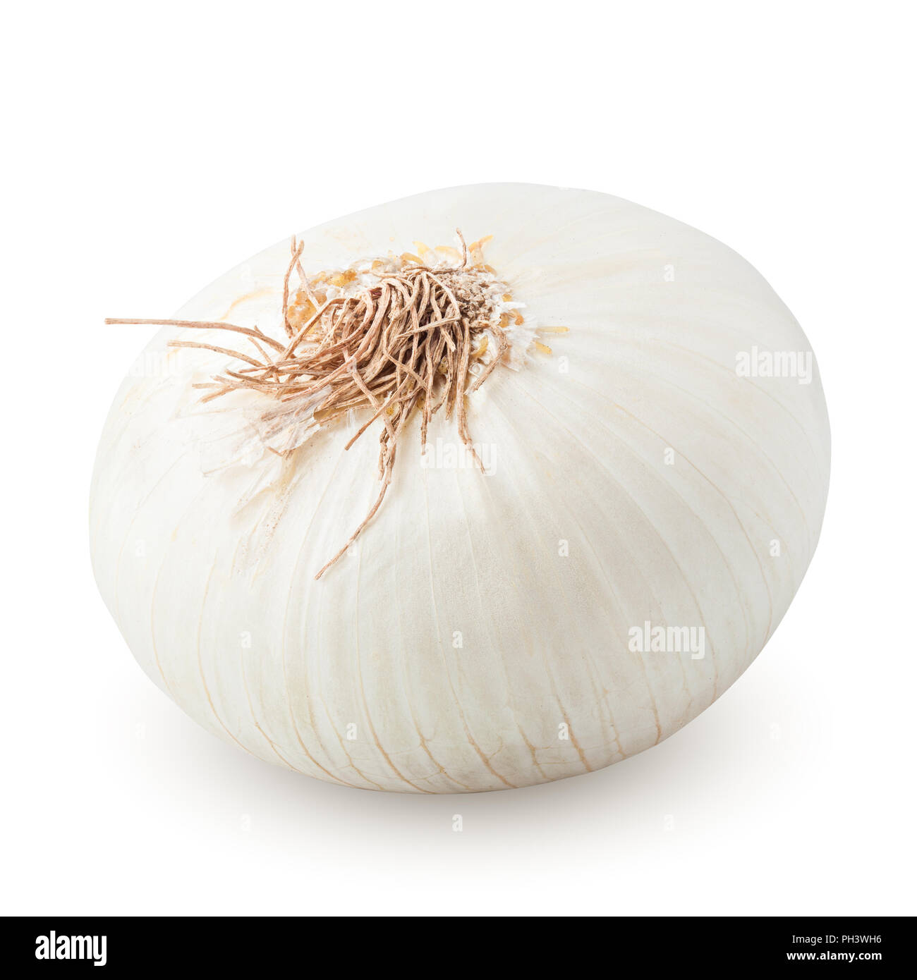 onion, isolated on white background, clipping path, full depth of field ...