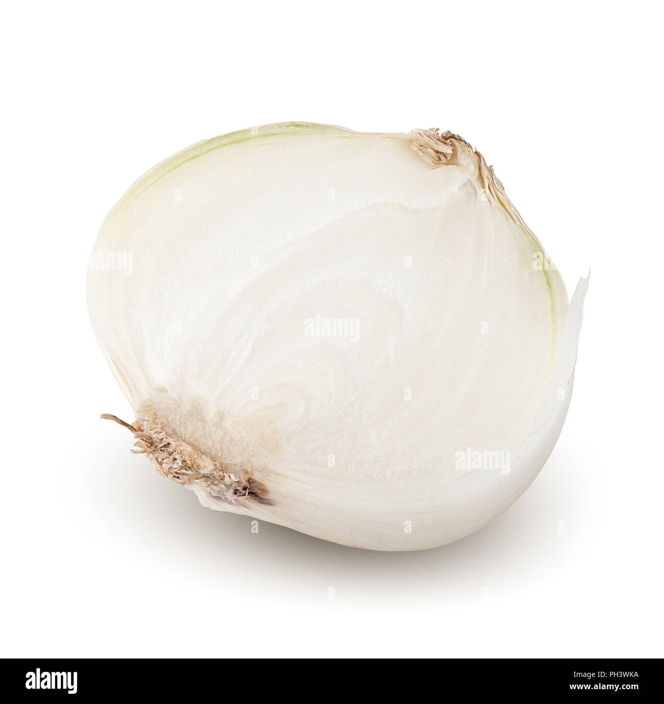 onion, isolated on white background, clipping path, full depth of field ...
