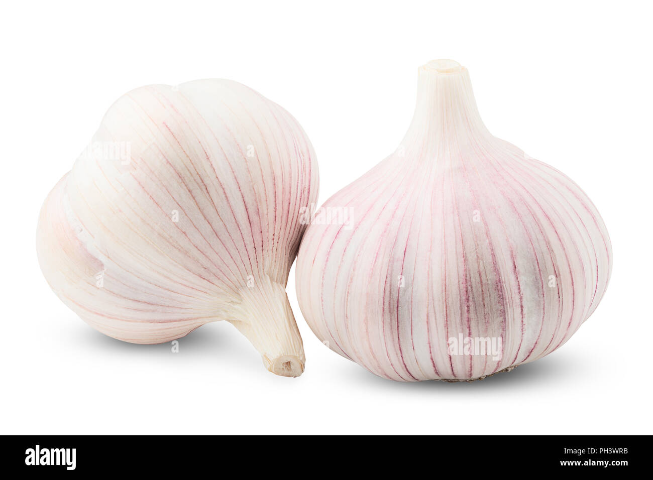 garlic, isolated on white background, clipping path, full depth of ...