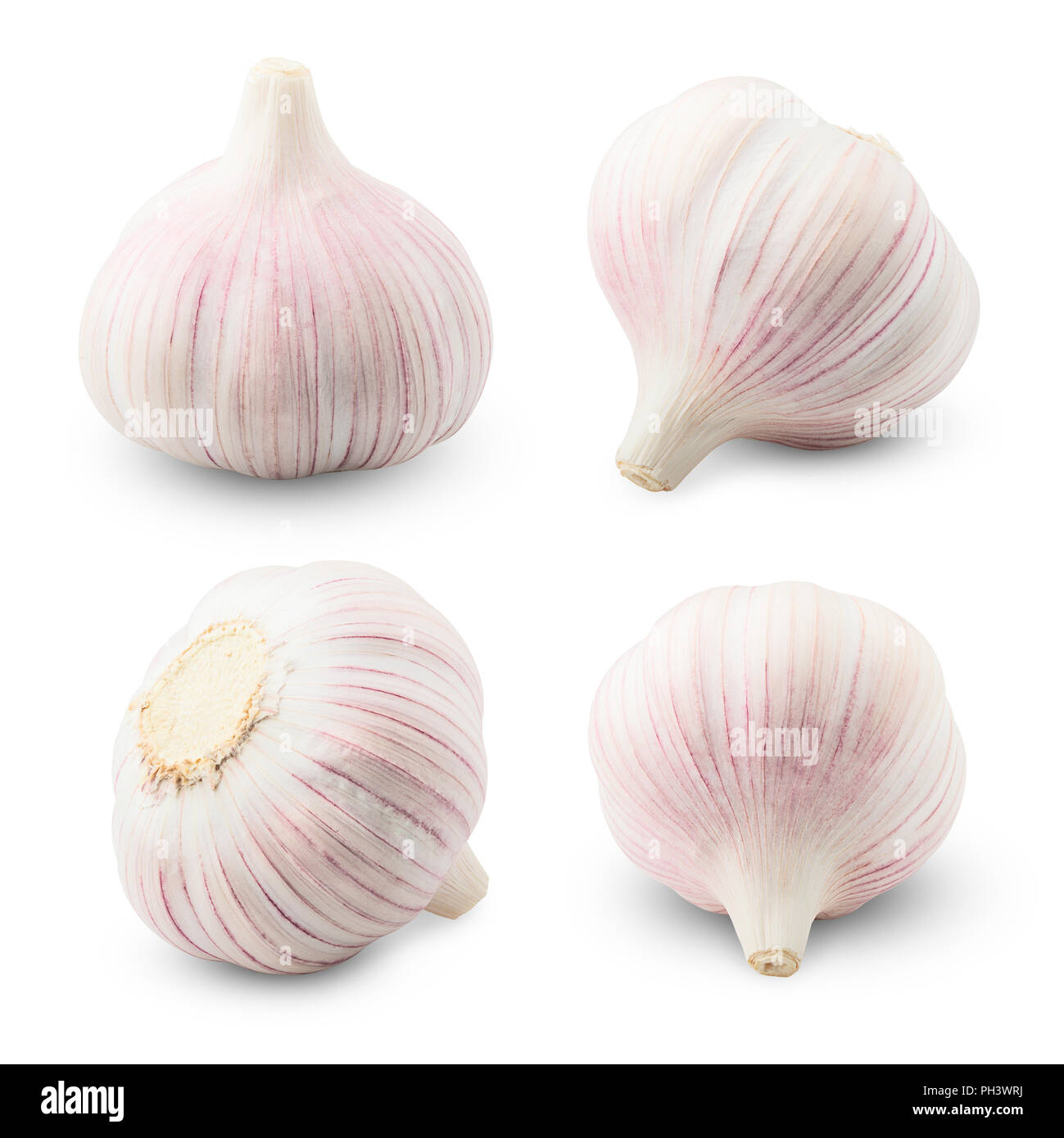 garlic, isolated on white background, clipping path, full depth of ...
