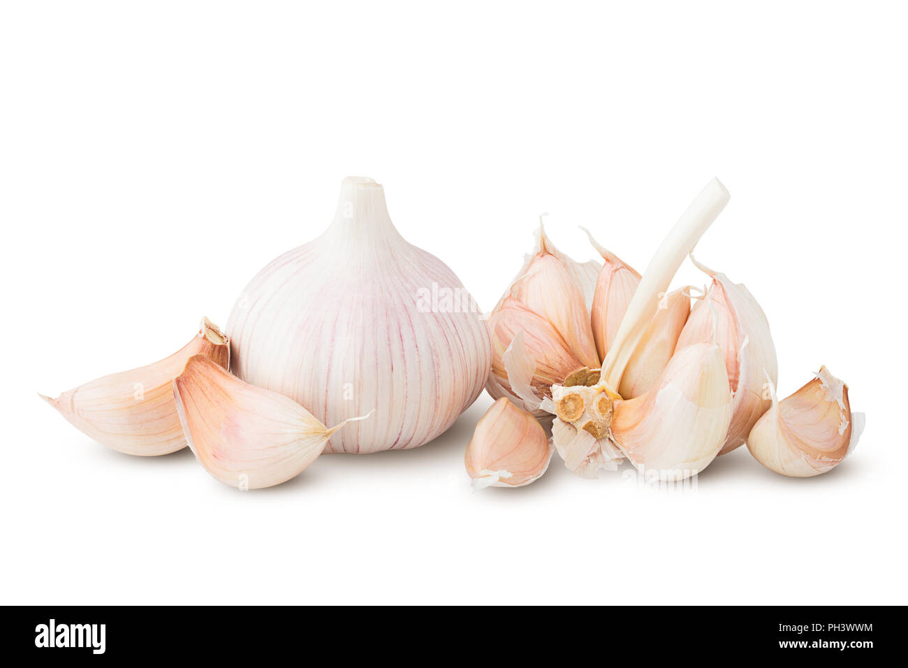 garlic, isolated on white background, clipping path, full depth of ...