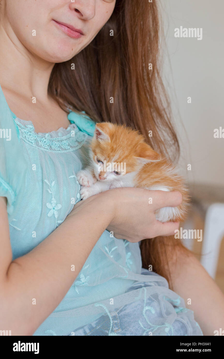 Close up of cute kitty in woman's hands Stock Photo - Alamy