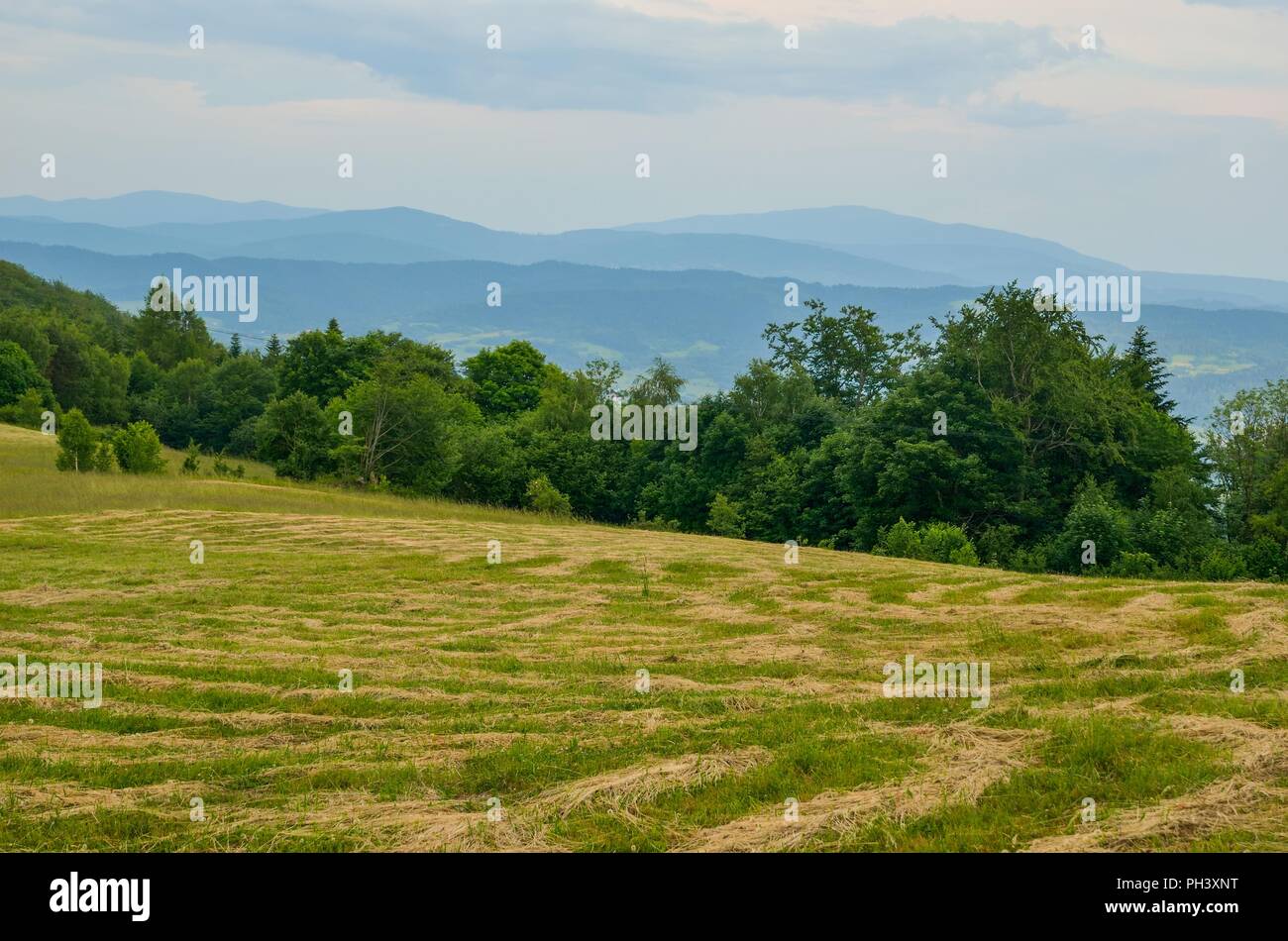 Beautiful mountain landscape. Spring colors in the hills Stock Photo ...