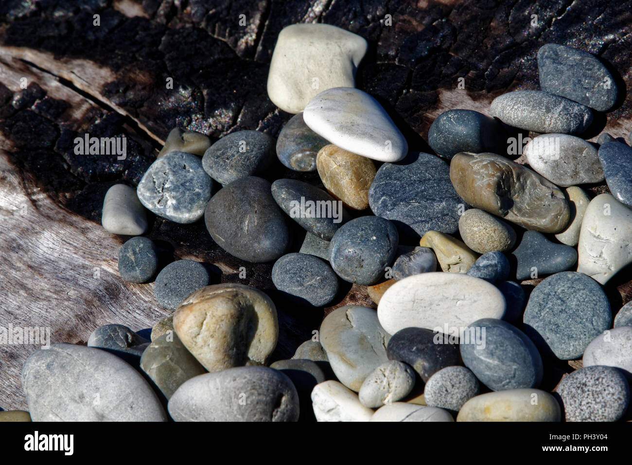 Light grey beach stones hi-res stock photography and images - Alamy