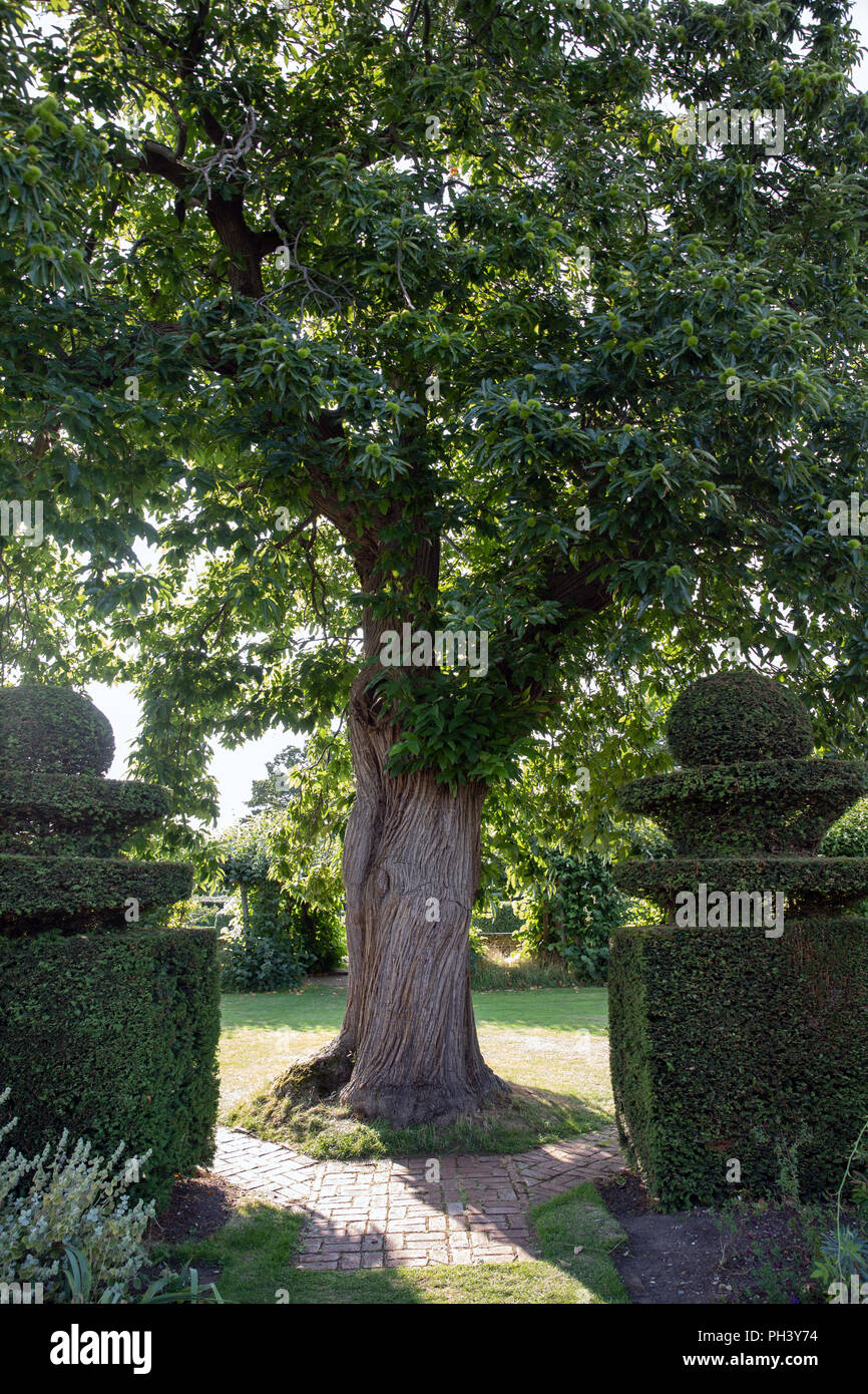 Royal palace of hatfield hi-res stock photography and images - Alamy