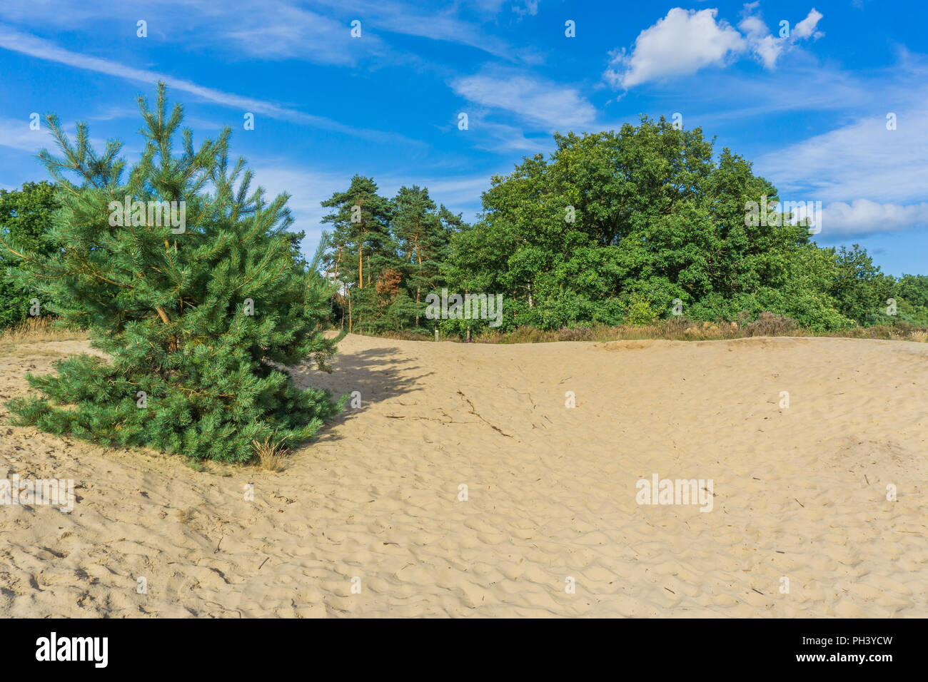 Sandy plains hi-res stock photography and images - Alamy