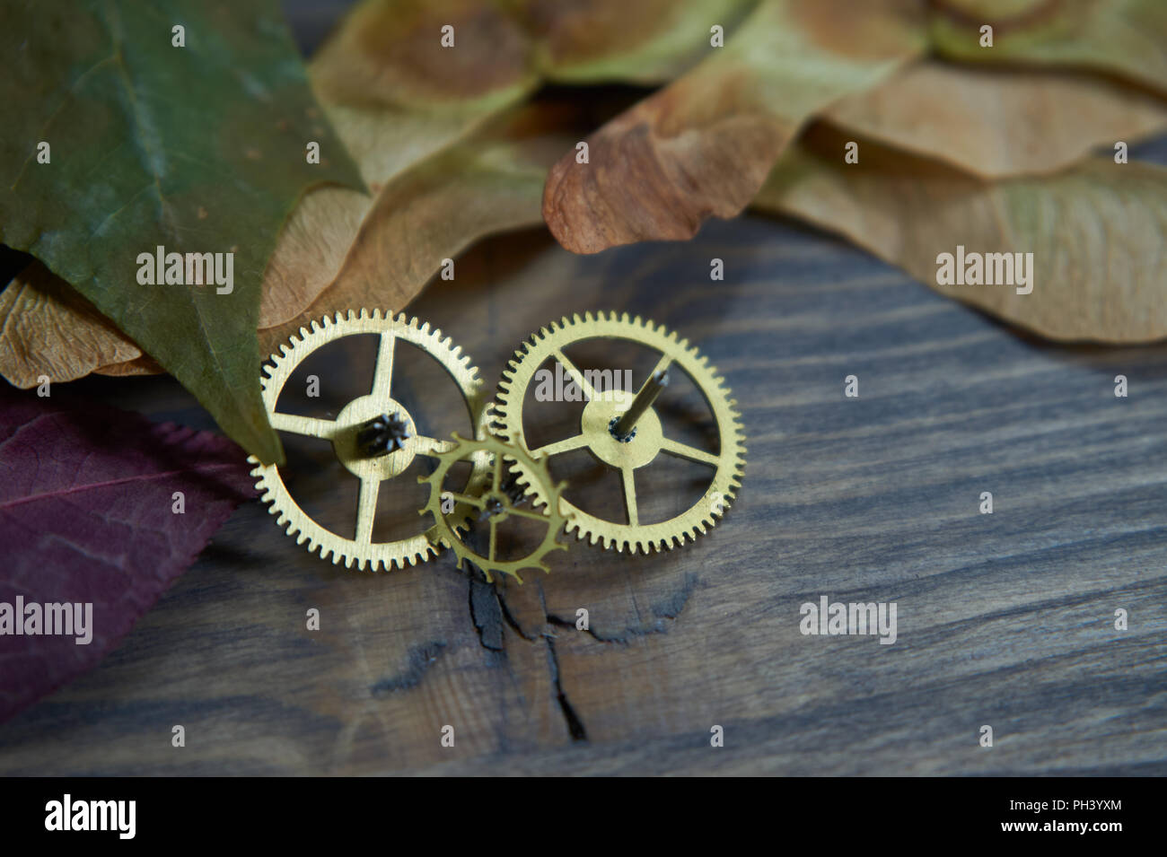 Three different precision engineered toothed brass metal cog wheels and ...