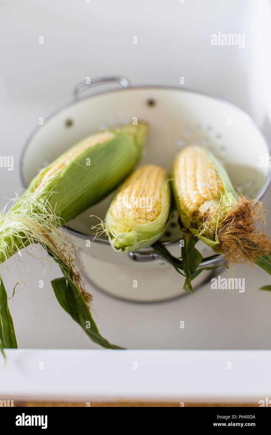 Ripe yellow corn cobs in white colander on the kitchen table Stock ...