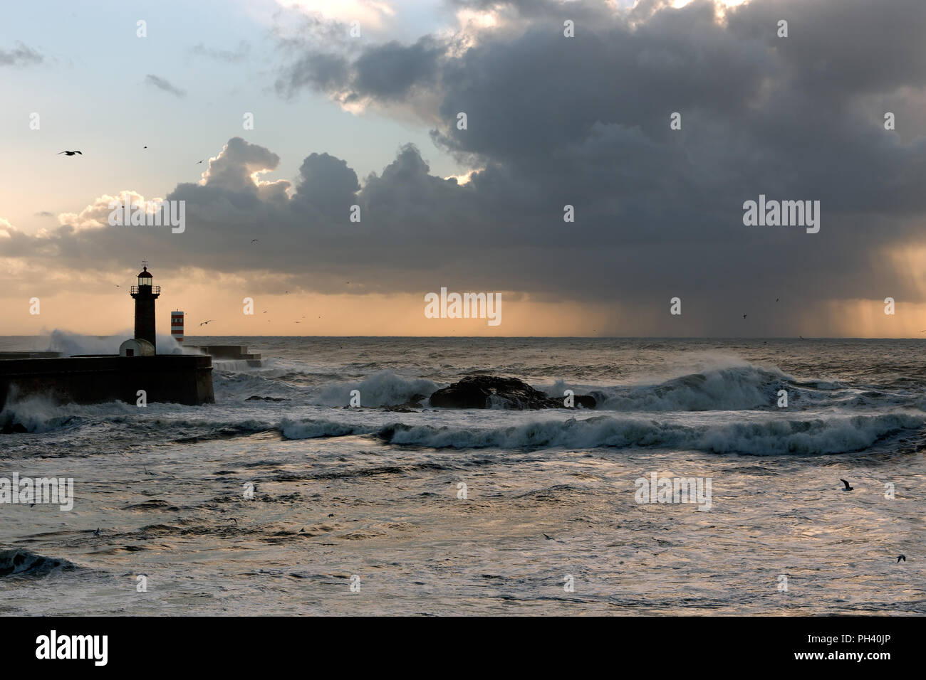 Oporto rain hi-res stock photography and images - Alamy