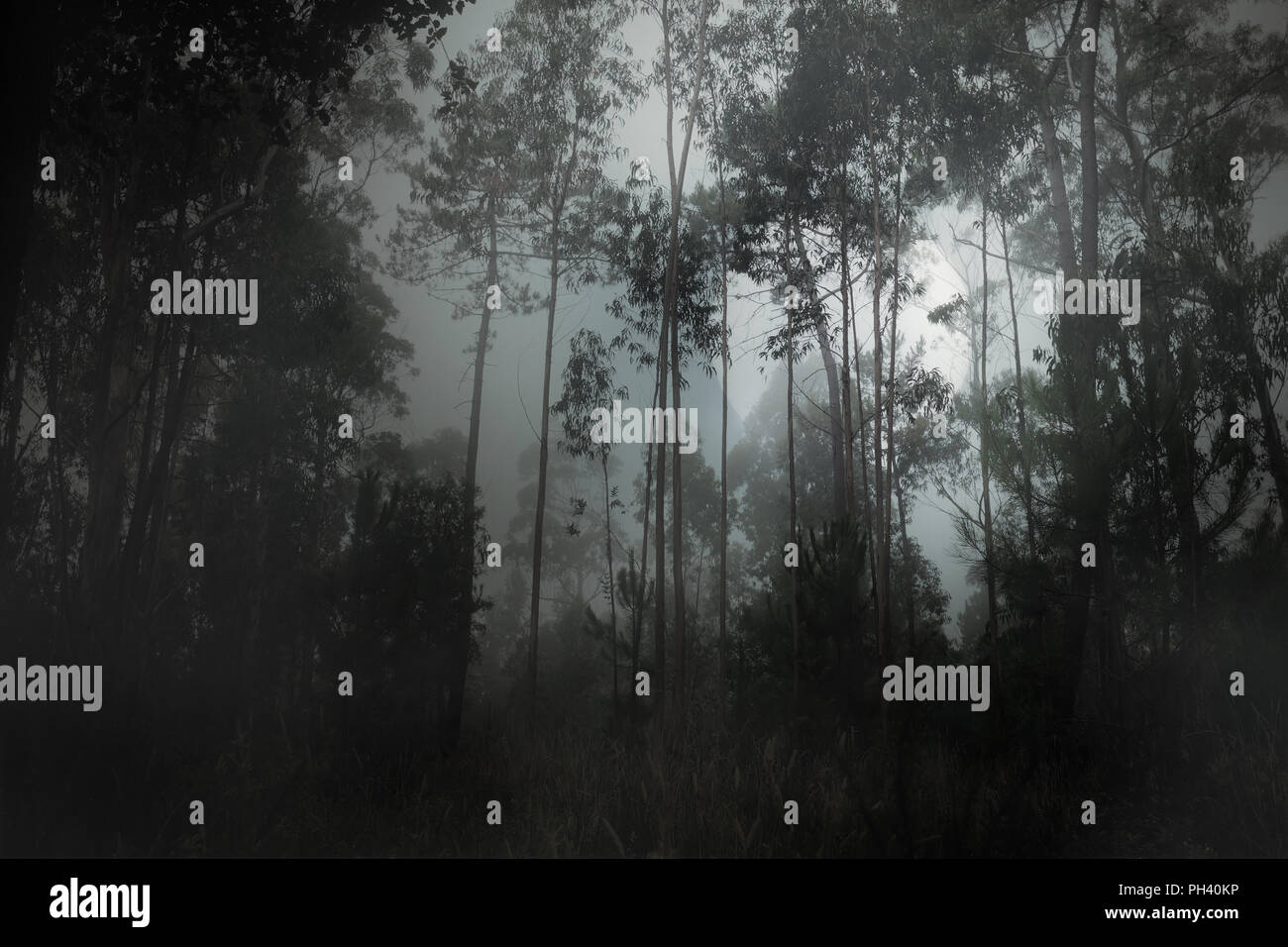 Moonrise wallpaper hi-res stock photography and images - Alamy