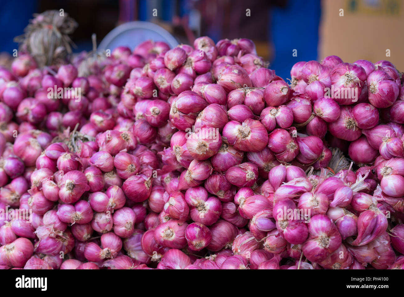 Big green onions hi-res stock photography and images - Alamy