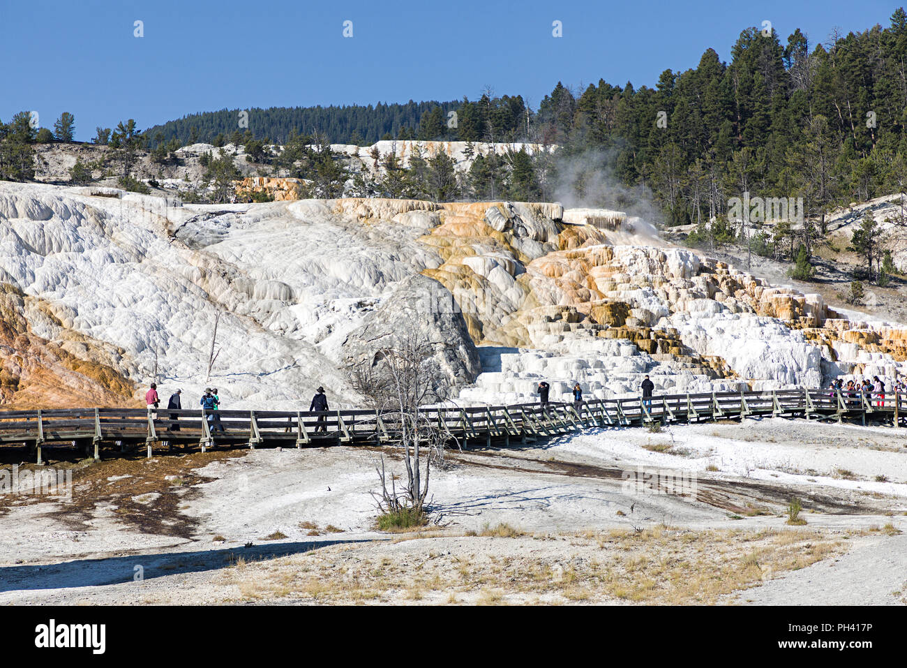 Mammoth hot springs and boardwalk hi-res stock photography and images ...