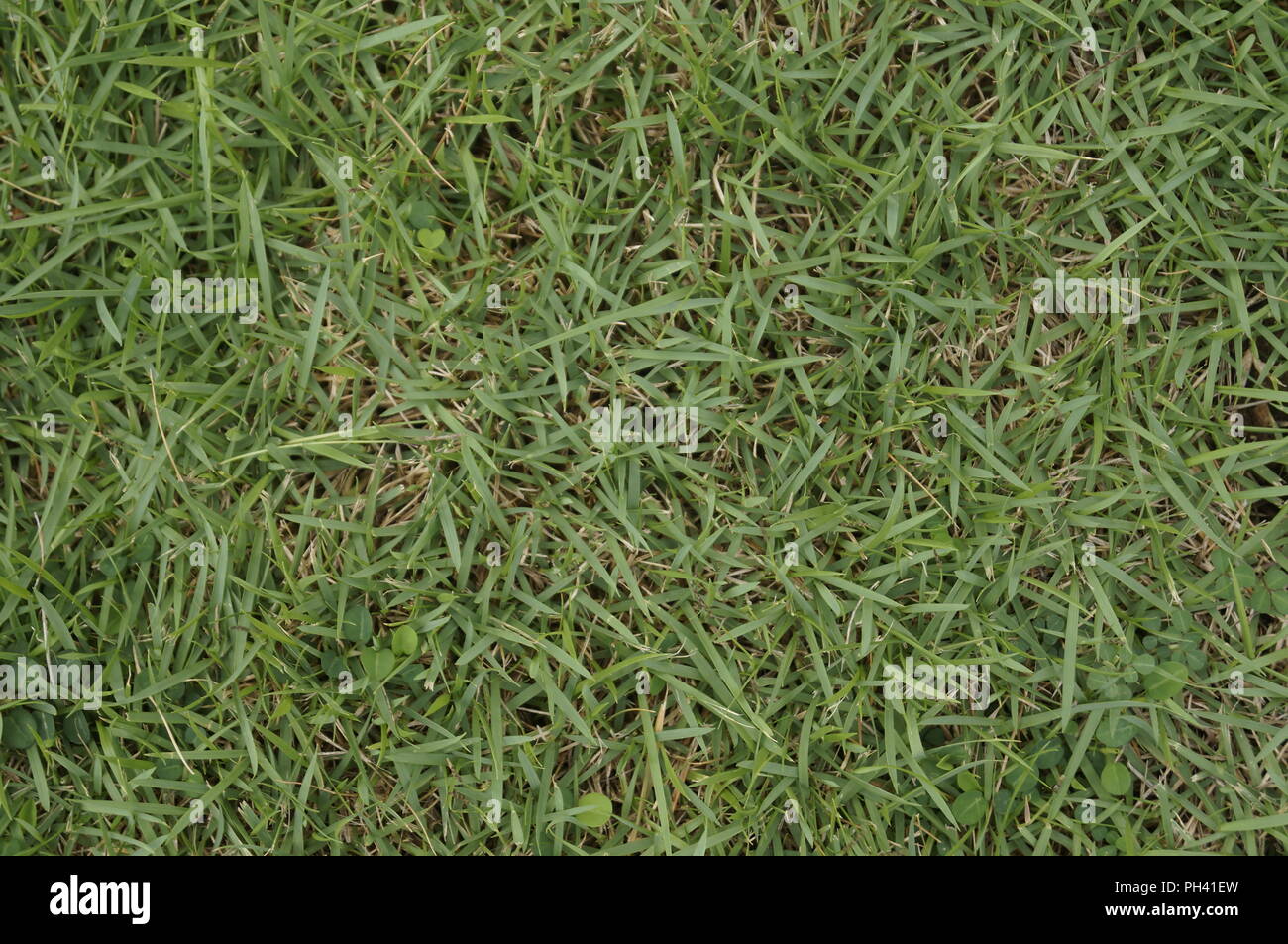 Not edited hi-res stock photography and images - Alamy