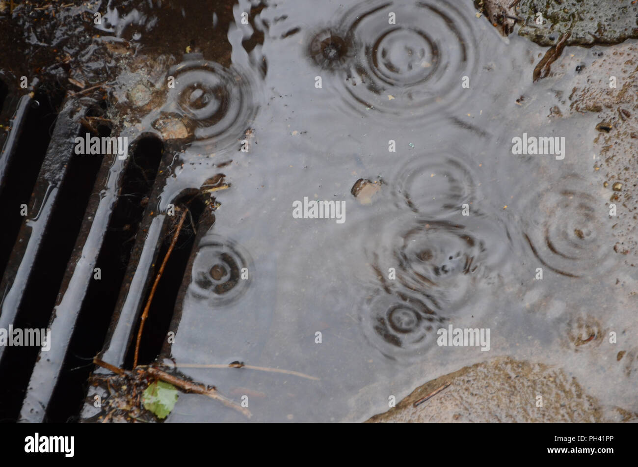 Water hole rain hi-res stock photography and images - Alamy