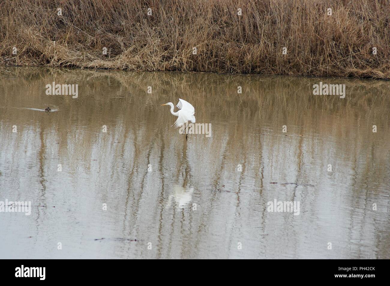 Junam hi-res stock photography and images - Alamy