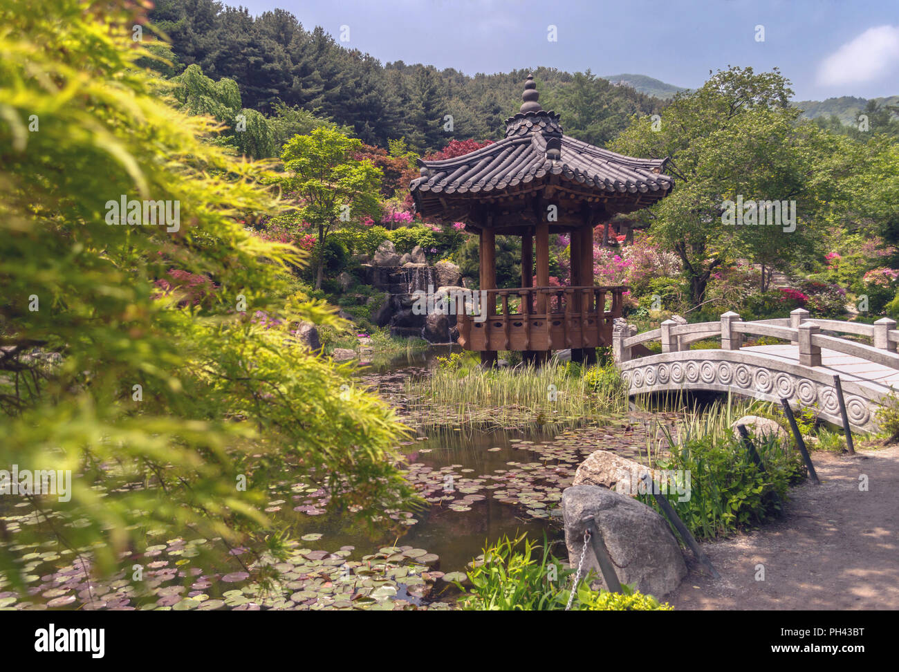 traditional korean wooden pavilion with pond and stone bridge Stock ...