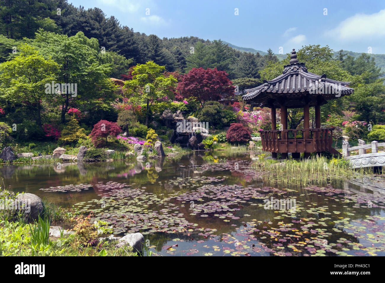 traditional korean pavilion with small pond and garden on sunny day ...