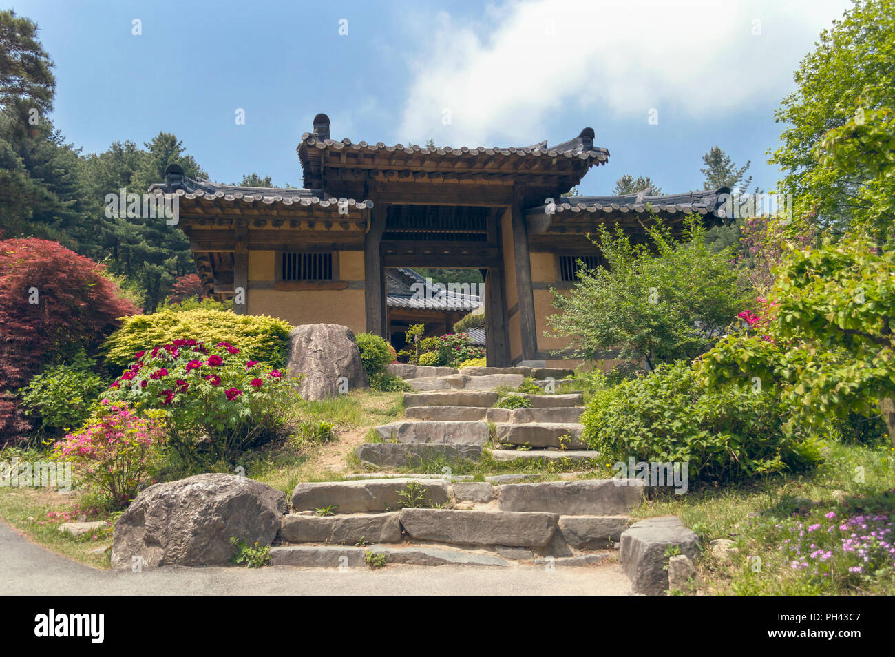 traditional korean gates with stone stairs and garden with tree peony ...