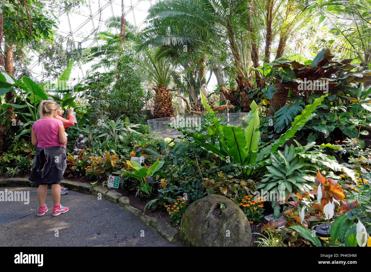 Female tourist taking a photograph inside the Bloedel Conservatory in ...