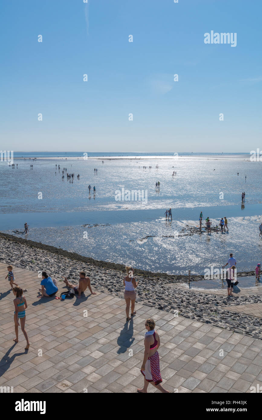Wadden Sea at the Family Lagoon Perlebucht or Familienlagune Perlebucht ...