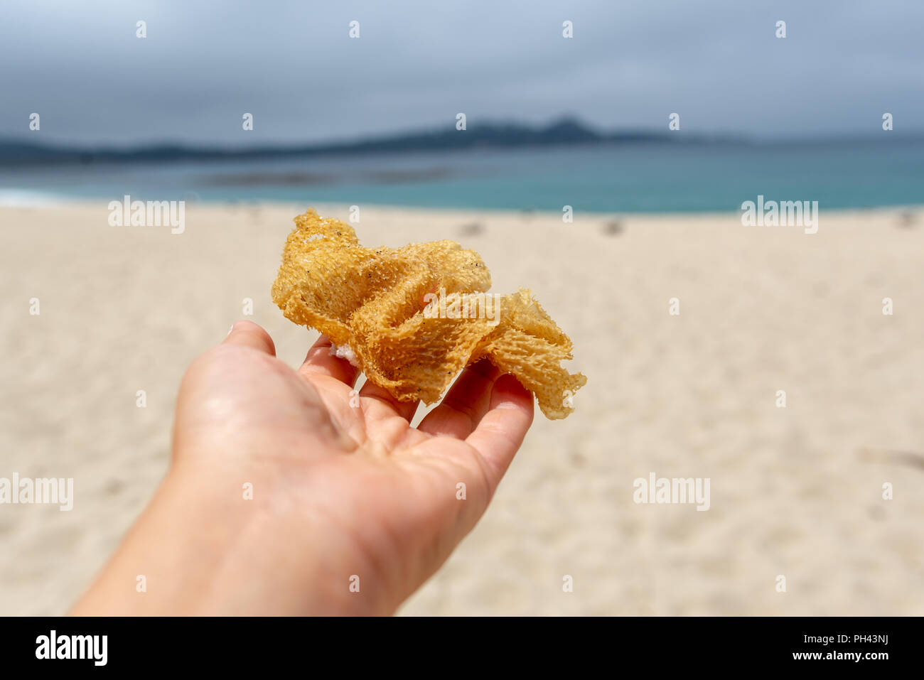 Fat women beach hi-res stock photography and images - Alamy