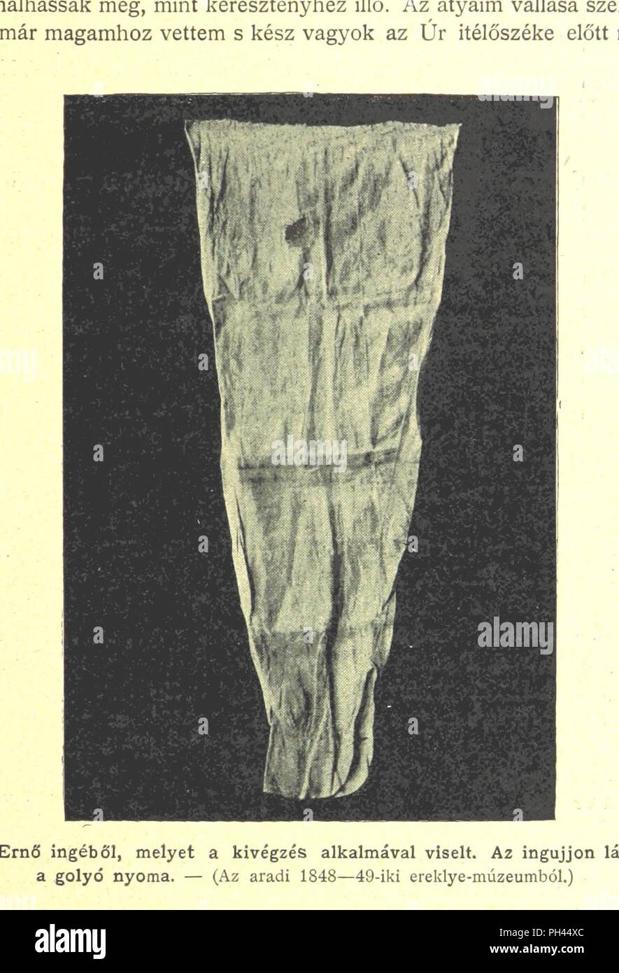 Image from page 433 of 'Az 1848-49-iki magyar szabadságharcz története. [With illustrations ...