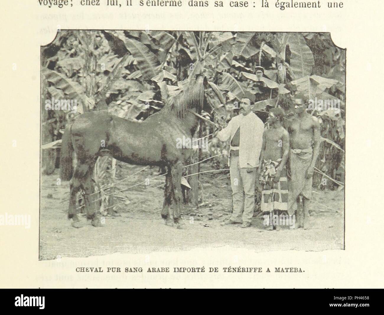 Grande congo hi-res stock photography and images - Alamy