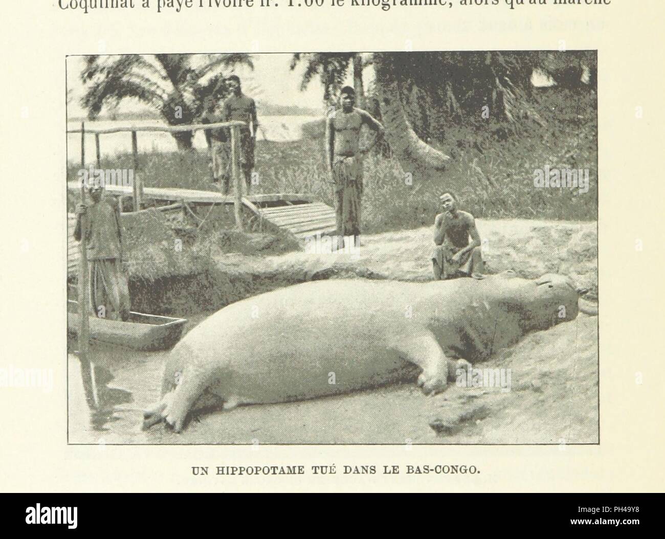 Grande congo hi-res stock photography and images - Alamy