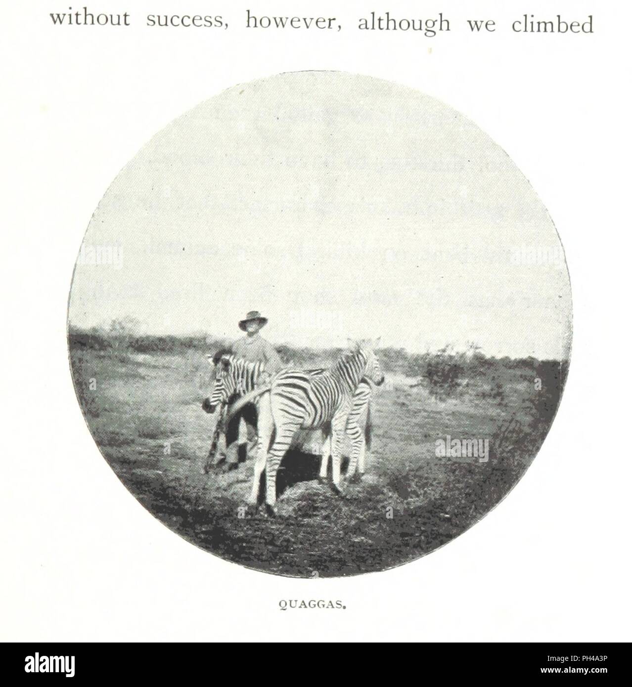 Matabeleland war hi-res stock photography and images - Alamy