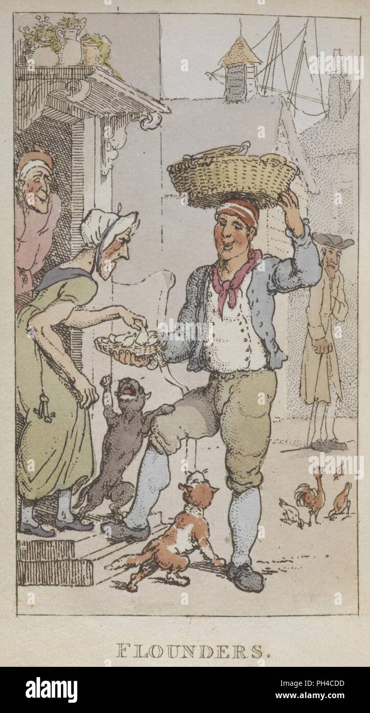 The fifty four plates hi-res stock photography and images - Alamy