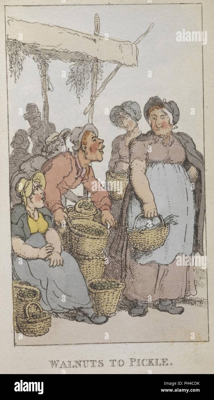 Rowlandson's characteristic Sketches of the Lower Orders, intended as a ...