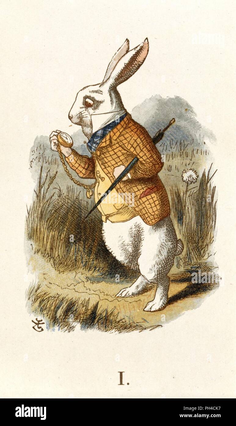 Alice white rabbit hi-res stock photography and images - Alamy
