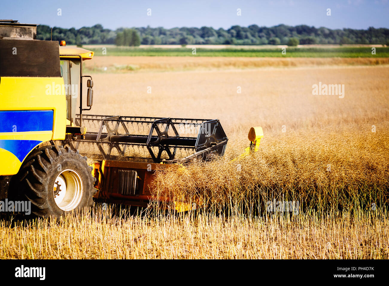 Picture of combine harvester machine harvesting crops Stock Photo - Alamy