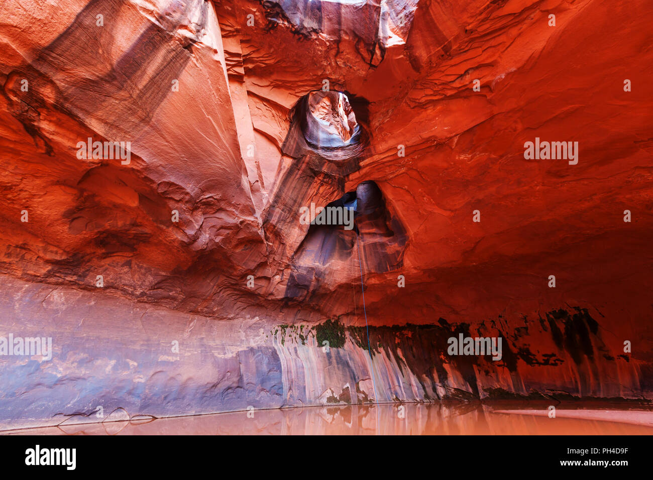 Golden Cathedral in Neon Canyon, Escalante National Park, Utah Stock ...