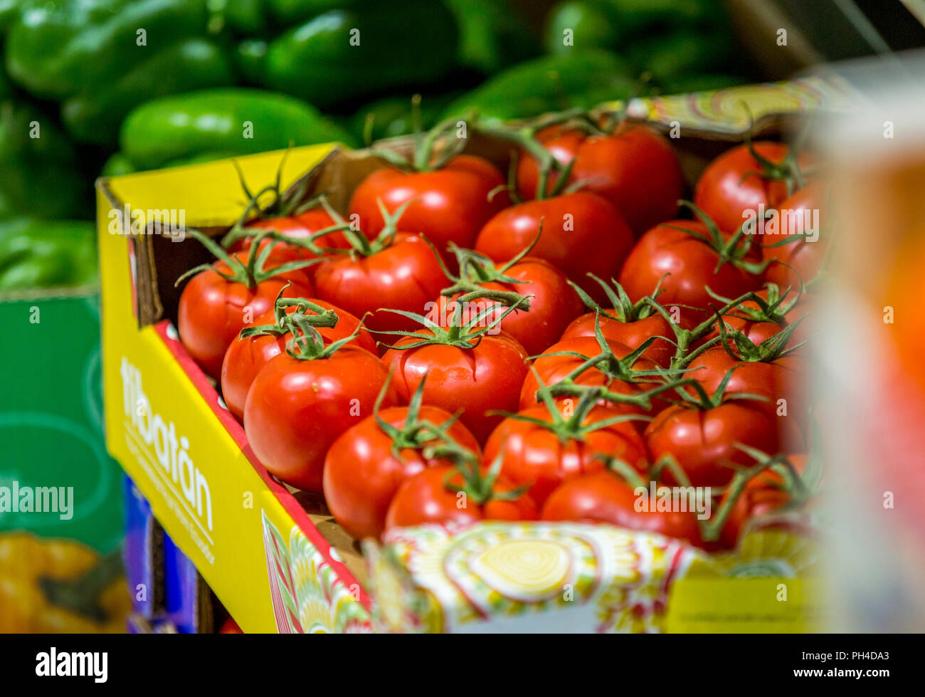 Fresh Garden cherry tomato Stock Photo - Alamy