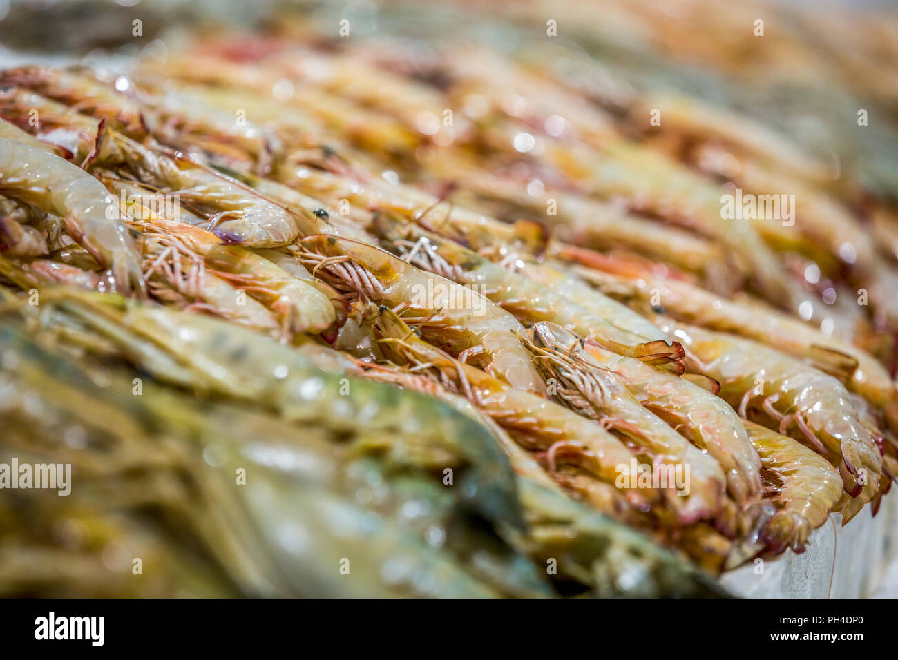 Jumbo prawn hi-res stock photography and images - Alamy