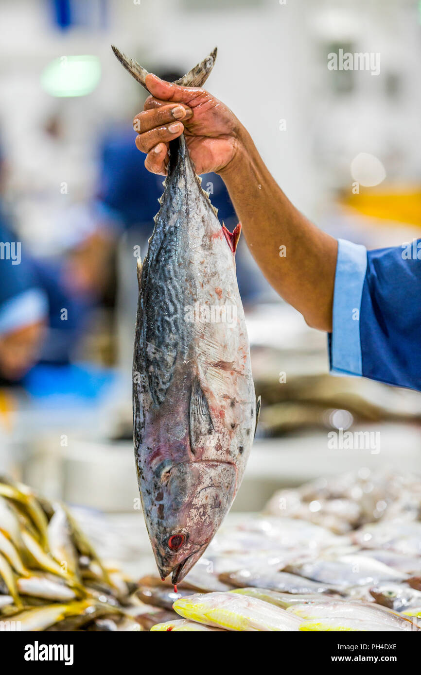 Tuna tail hi-res stock photography and images - Alamy