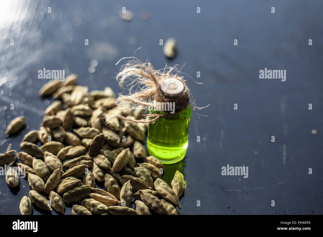 True Cardamom Elettaria Cardamomum High Resolution Stock Photography ...