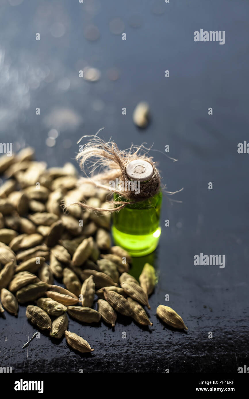 Raw organic green cardamom or elaichi or Elettaria cardamomum or true ...