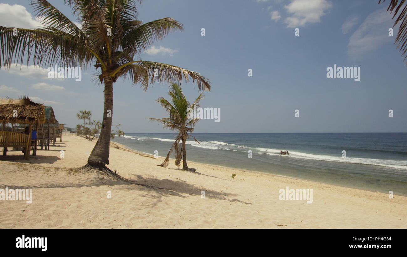 Tropical island with white sandy beach in blue lagoon, palm tree ...