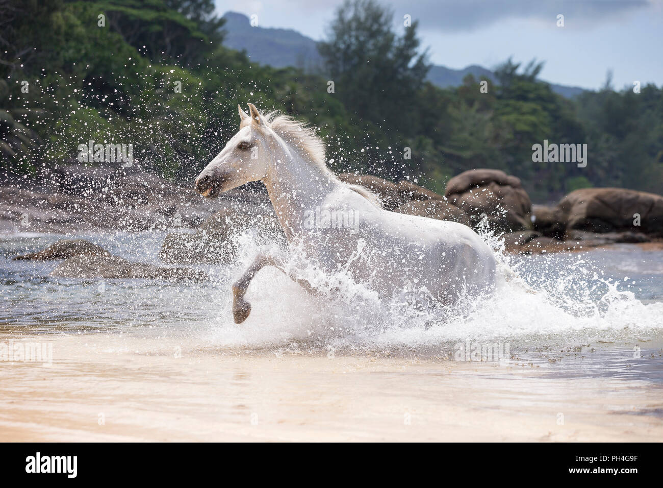Sea coast in mare hi-res stock photography and images - Alamy